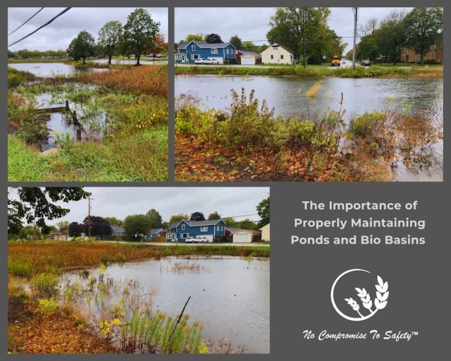 The Importance of Properly Maintaining Ponds and Bio Basins - Hantho ...